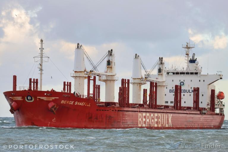 BERGE SNAEFELL, Bulk Carrier - Details and current position - IMO ...