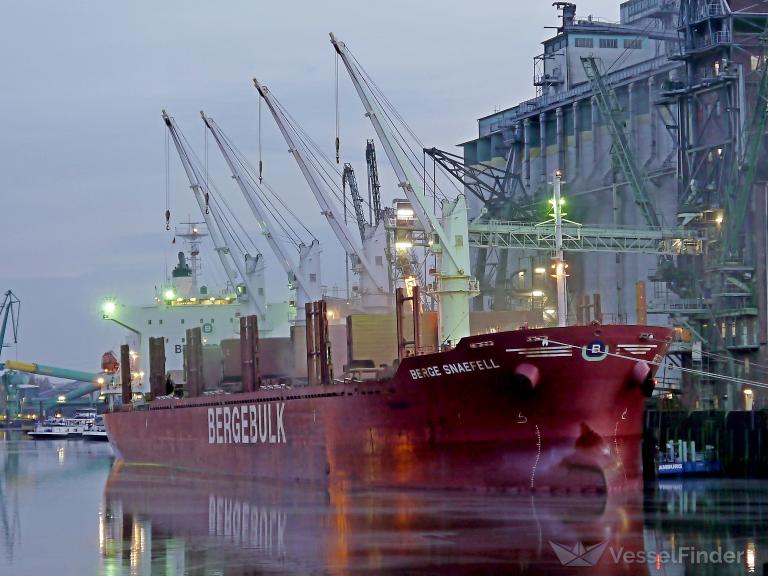 BERGE SNAEFELL, Bulk Carrier - Details and current position - IMO ...