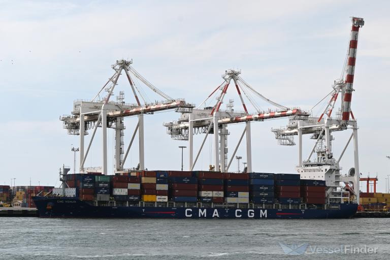 CNC VENUS, Container Ship - Details and current position - IMO 9817884 ...