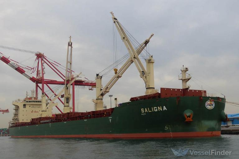 SALIGNA, General Cargo Ship - Details and current position - IMO ...