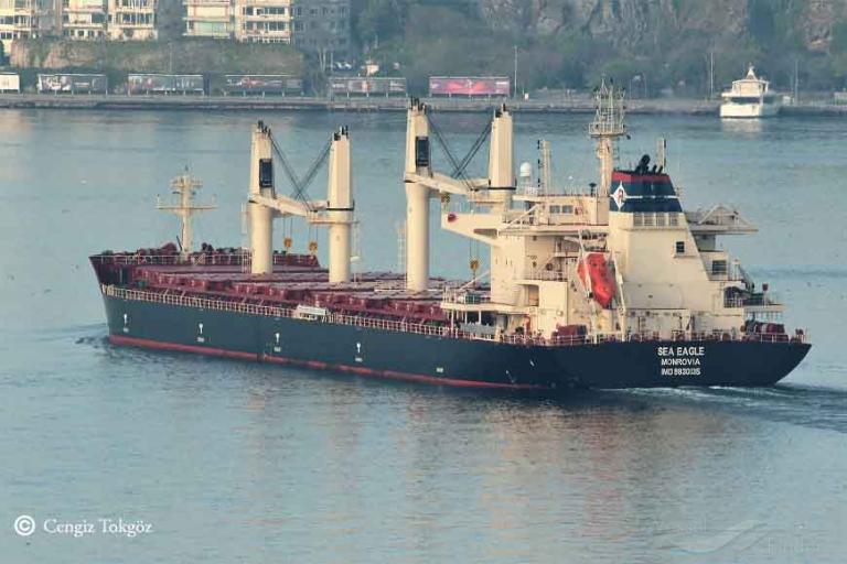 SEA EAGLE, Bulk Carrier - Details and current position - IMO 9830135 ...