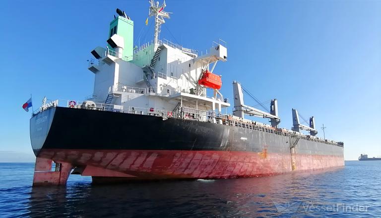 GREEN GEM, Bulk Carrier - Scheepsdetails en huidige positie - IMO 9831517 - VesselFinder