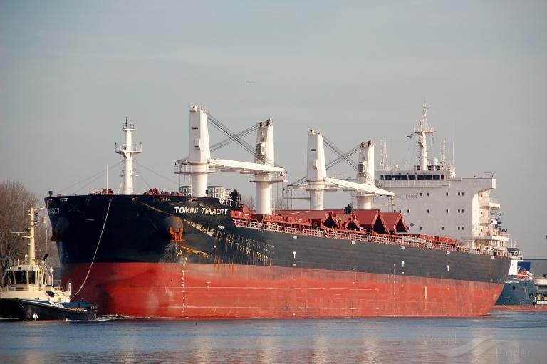 TOMINI TENACITY, Bulk Carrier - Details and current position - IMO 9831787 - VesselFinder