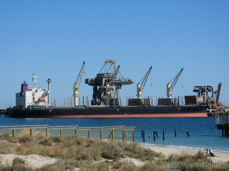 UNITY LIGHT, Bulk Carrier - Details and current position - IMO 9832444 ...