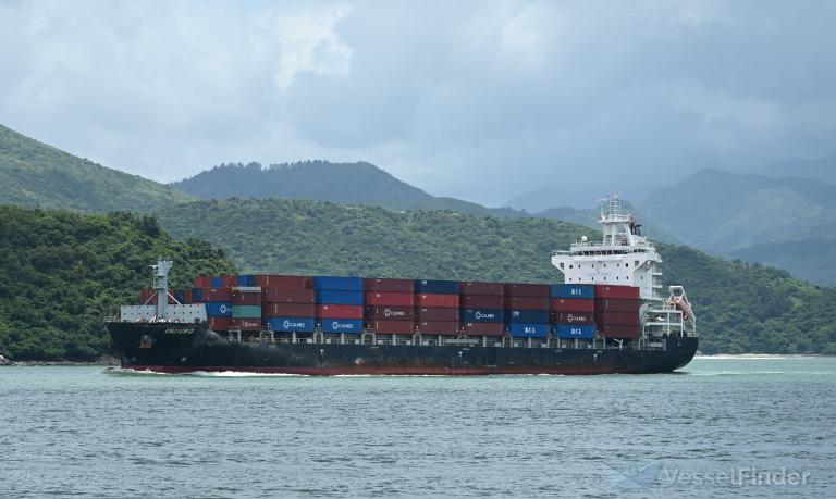 INDURO, Container Ship - Details and current position - IMO 9833008 ...