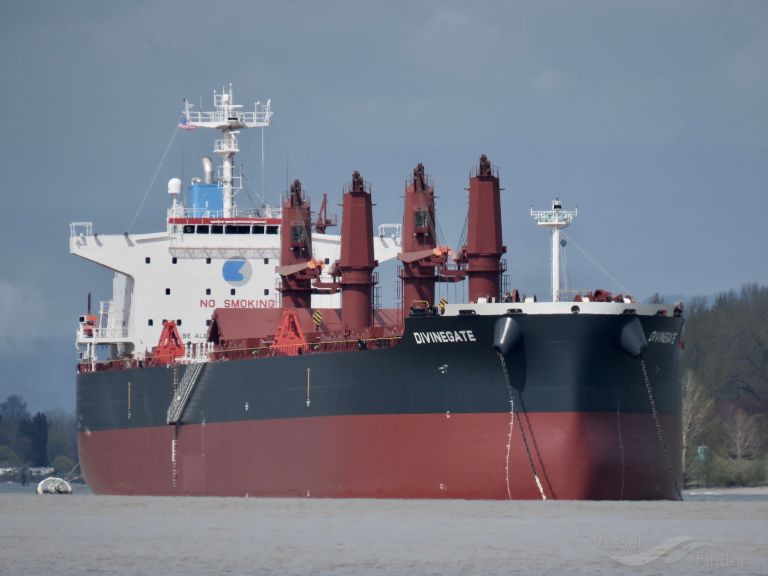 SIMPLE HONESTY, Bulk Carrier - Details and current position - IMO ...
