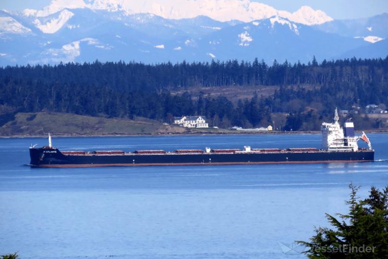 JOY, Bulk Carrier - Details and current position - IMO 9845283 ...