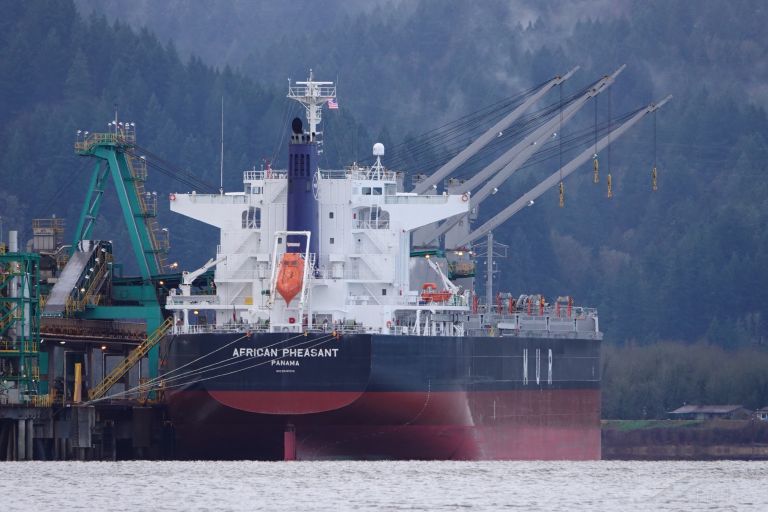 AFRICAN PHEASANT, Bulk Carrier - Details and current position - IMO ...