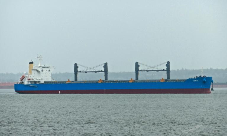 ASKIO, Bulk Carrier - Details and current position - IMO 9848649 ...