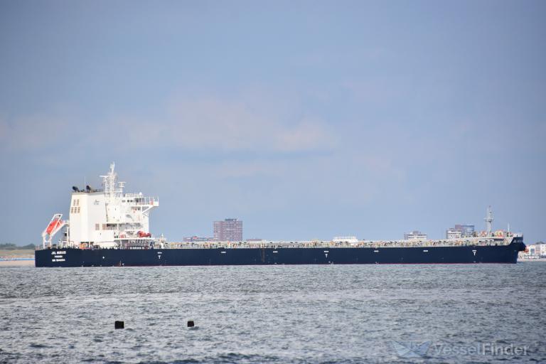 JAL MURARI, Bulk Carrier - Details and current position - IMO 9849564 ...