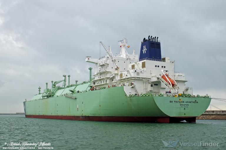 BW PAVILIONARANTHERA, LNG Tanker - Details and current position - IMO ...