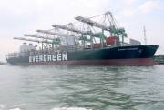 EVER FOND, Container Ship - Details and current position - IMO 9850848 ...
