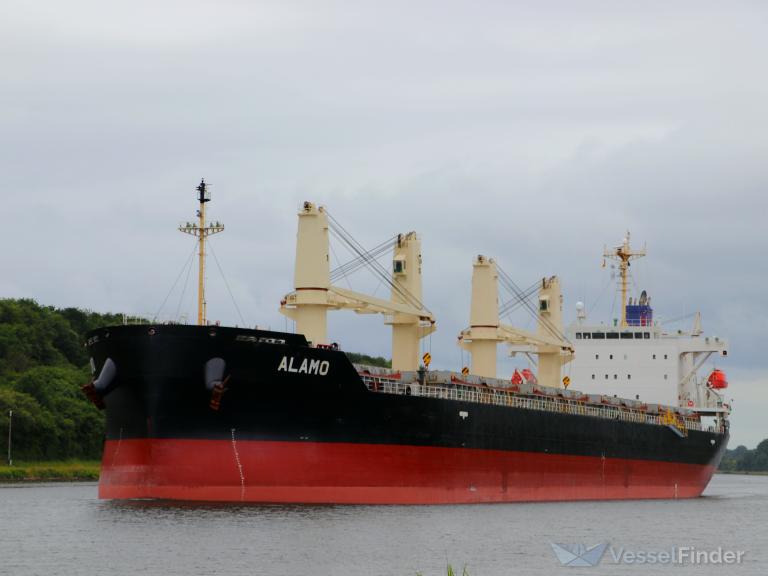 ALAMO, Bulk Carrier - Details and current position - IMO 9851335 ...