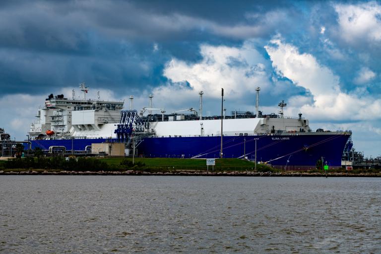 ELISA LARUS, LNG Tanker - Данные судна и текущее положение - IMO ...