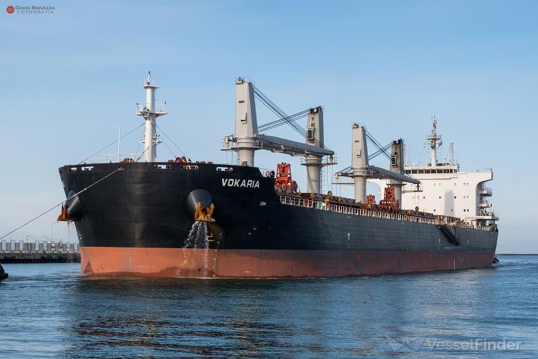 PAN ORION, Bulk Carrier - Details and current position - IMO 9855848 ...