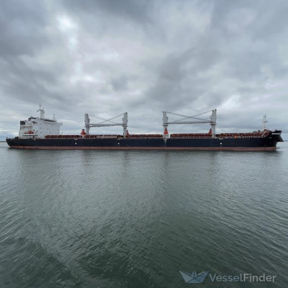 SPRINGFIELD, Bulk Carrier - Details and current position - IMO 9855850 ...