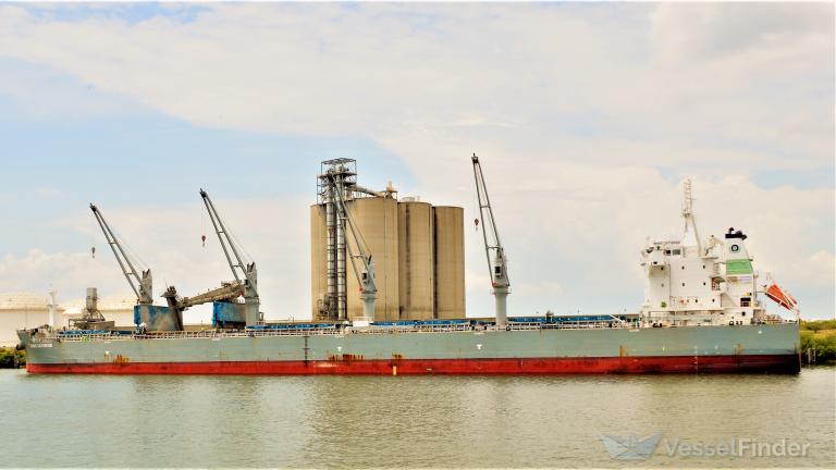 BERGE CATHERINE, Bulk Carrier - Details and current position - IMO ...