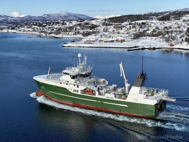 SENJA, Fishing Vessel - Details and current position - IMO 9858436 ...