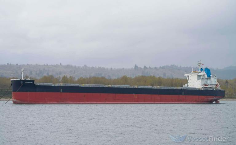 SOUTHERN HAWK, Bulk Carrier - Details and current position - IMO ...