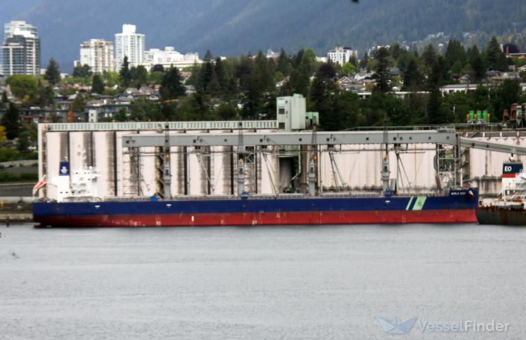 WORLD RUBY, Bulk Carrier - Details and current position - IMO 9860398 ...
