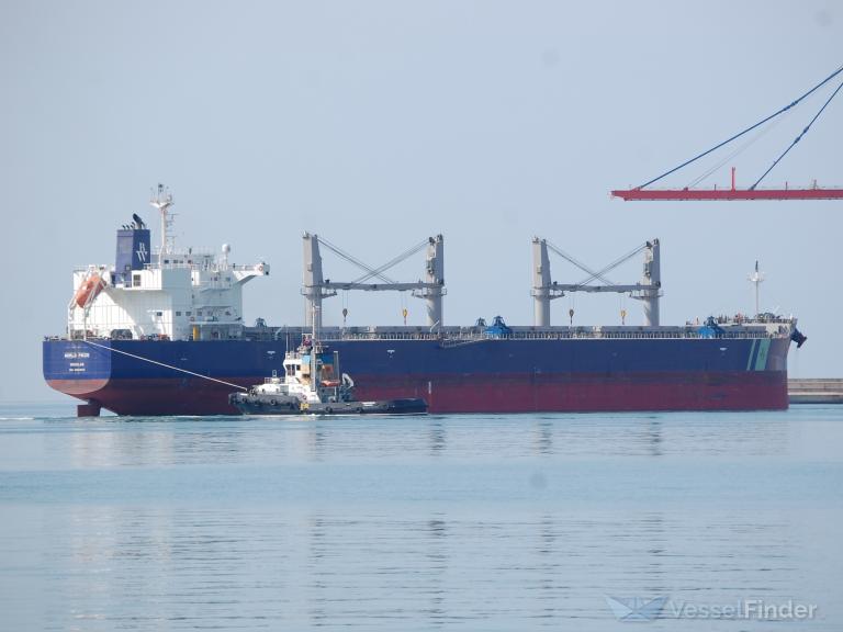 WORLD PRIZE, Bulk Carrier - Details and current position - IMO 9860403 ...