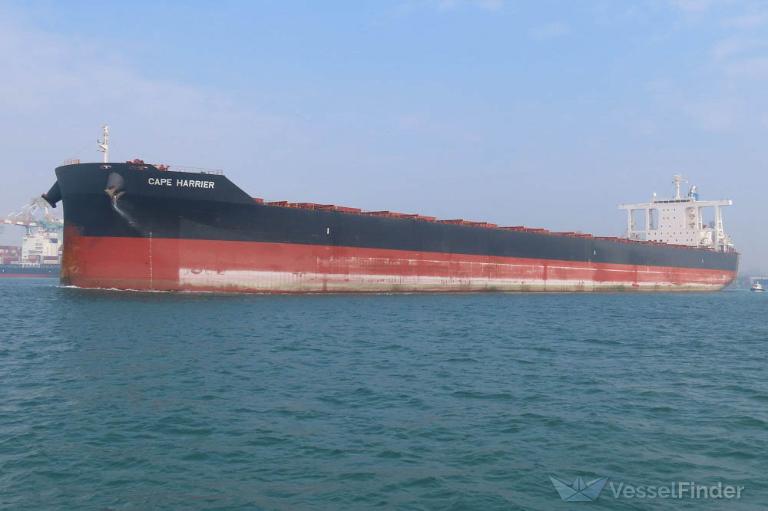 CAPE HARRIER, Bulk Carrier - Details and current position - IMO 9860477 ...