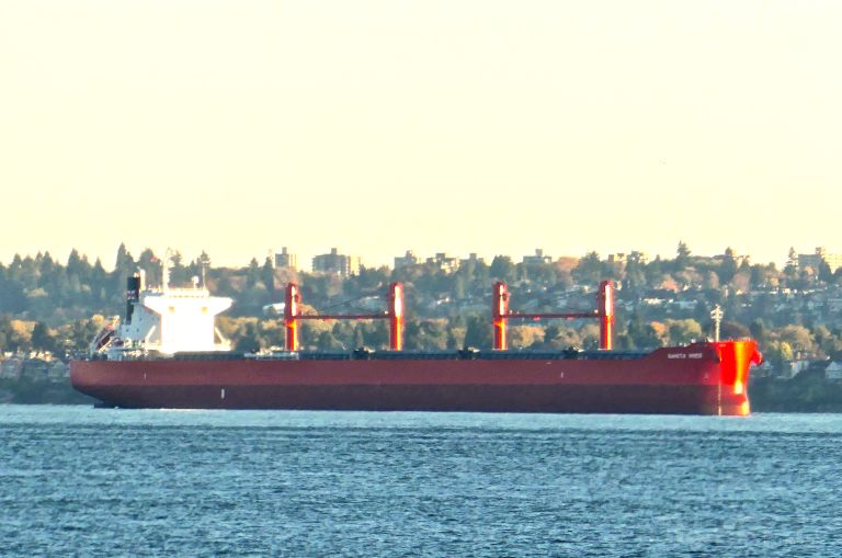 SANTA INES, Bulk Carrier - Details and current position - IMO 9860623 ...