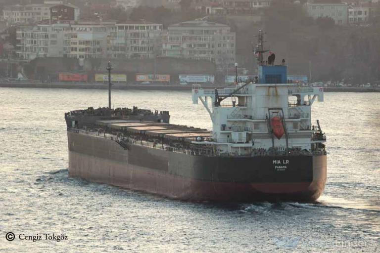 MIA LR, Bulk Carrier - Detalles del buque y posición actual - IMO ...