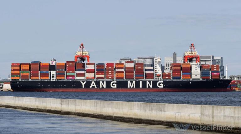 YM TRIUMPH, Container Ship - Details and current position - IMO 9860908 ...