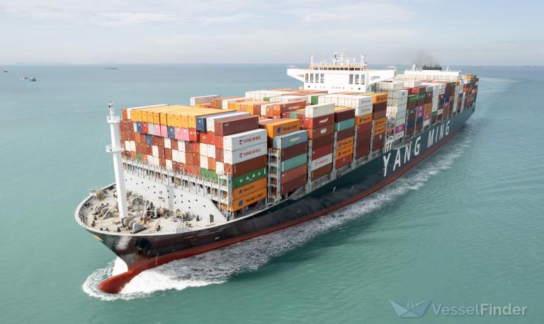 YM TRIUMPH, Container Ship - Details and current position - IMO 9860908 - VesselFinder
