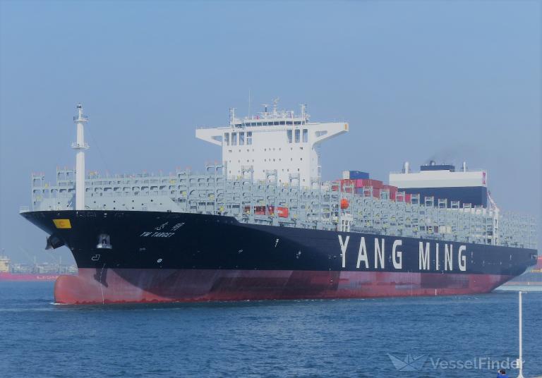 YM TARGET, Container Ship - Details and current position - IMO 9860934 ...