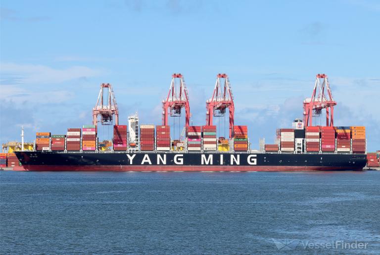 YM TIPTOP, Container Ship - Details and current position - IMO 9860946 ...