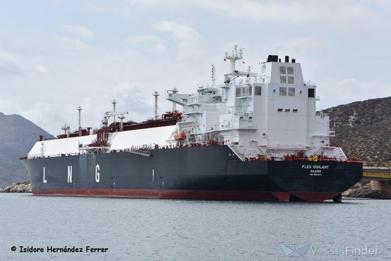 FLEX VIGILANT, LNG Tanker - Details and current position - IMO 9862475 ...
