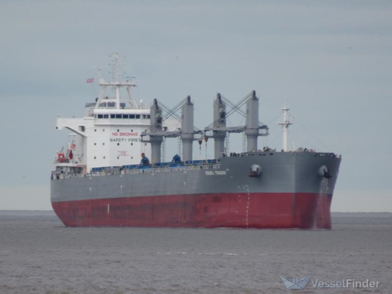 TENDRA TRADER, Bulk Carrier - Details and current position - IMO ...