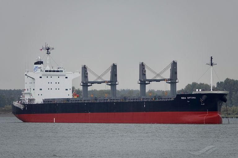 NEW OPTIMA, Bulk Carrier - Details and current position - IMO 9865001 ...