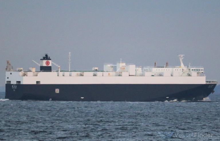 SHIN EI MARU, Ro-Ro Cargo Ship - Details and current position - IMO ...