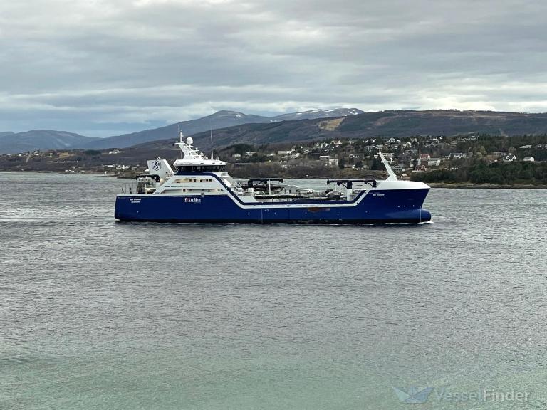 RO VISION, Fish Carrier - Details and current position - IMO 9871579 ...