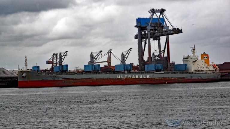 ULTRA FOREST, Bulk Carrier - Details and current position - IMO 9873888 ...