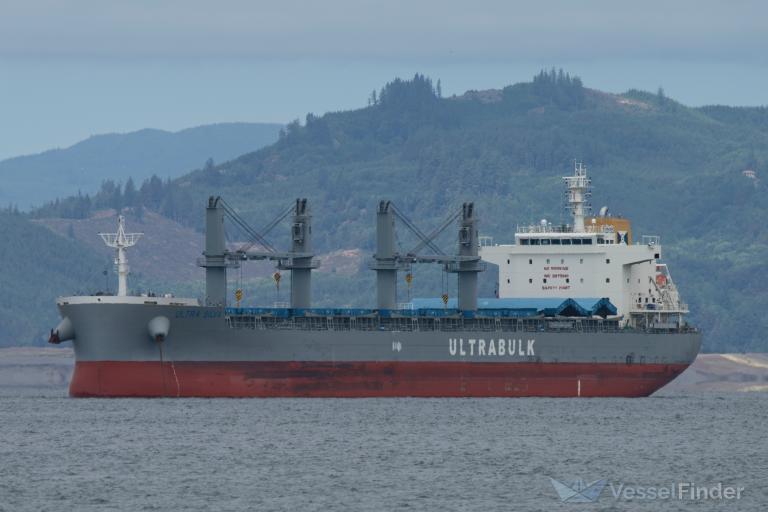 ULTRA SILVA, Bulk Carrier - Details and current position - IMO 9873890 ...