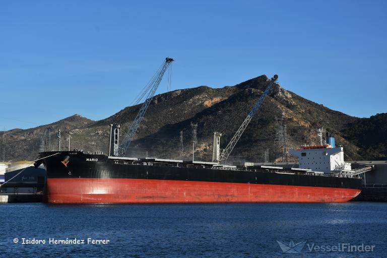 MARIO, Bulk Carrier - Details and current position - IMO 9875006 ...