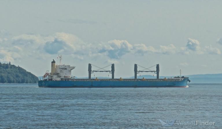 IDA, Bulk Carrier - Details and current position - IMO 9875197 ...