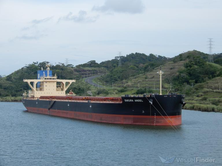 SAKURA ANGEL, Bulk Carrier - Details and current position - IMO 9875252 ...