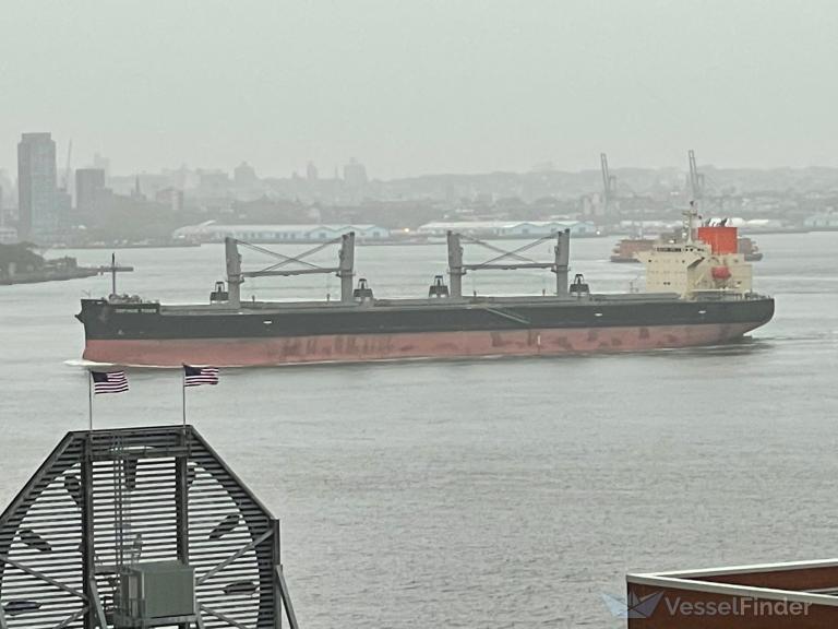 COPIHUE TIGER, General Cargo Ship - Details and current position - IMO ...