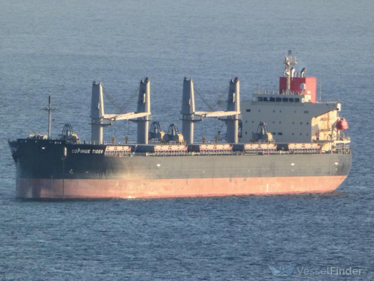 COPIHUE TIGER, General Cargo Ship - Details and current position - IMO ...