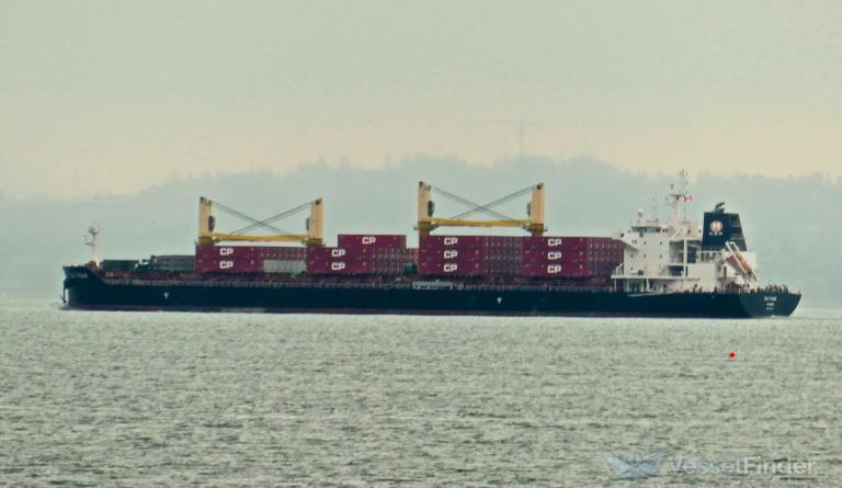 SEA TRAIN, Bulk Carrier - Details and current position - IMO 9876749 ...