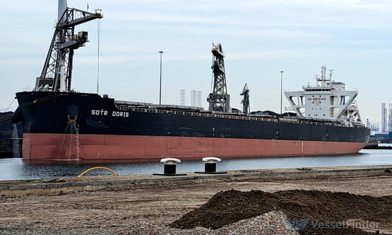 SDTR DORIS, Bulk Carrier - Details and current position - IMO 9877860 ...