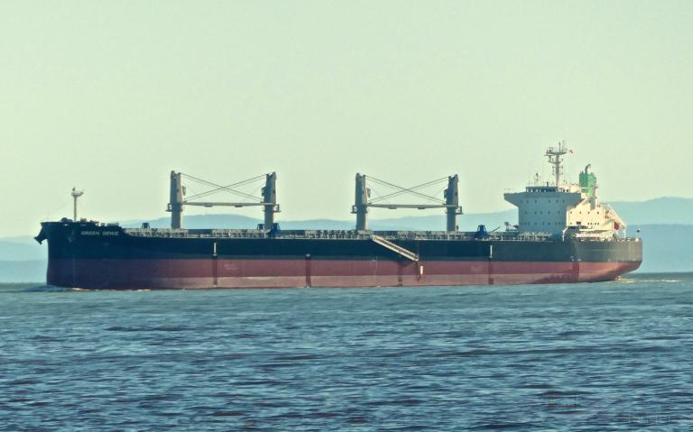 GREEN GENIE, Bulk Carrier - Details and current position - IMO 9877937 ...