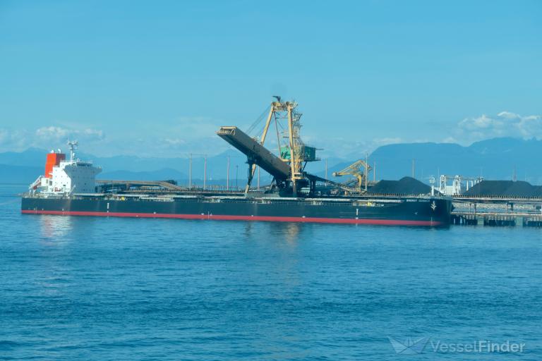 ENERGY COSMOS, Bulk Carrier - Details and current position - IMO ...