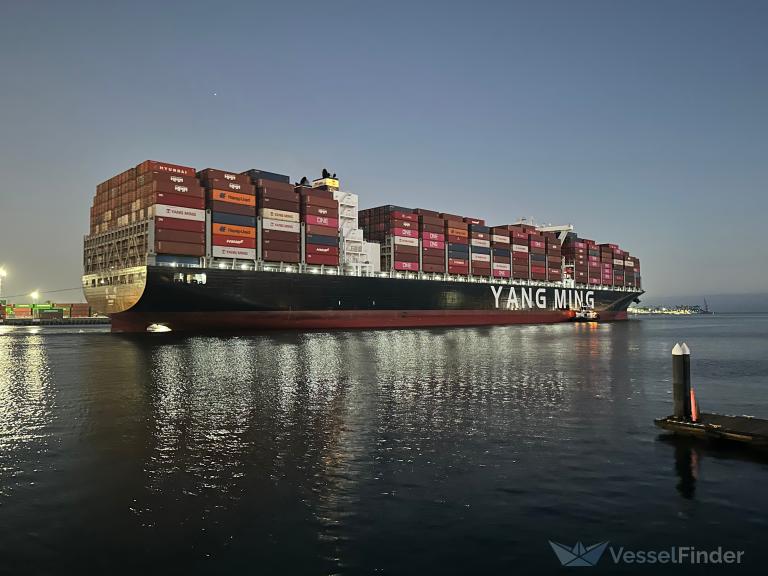 YM TRAVEL, Container Ship - Details and current position - IMO 9878503 ...
