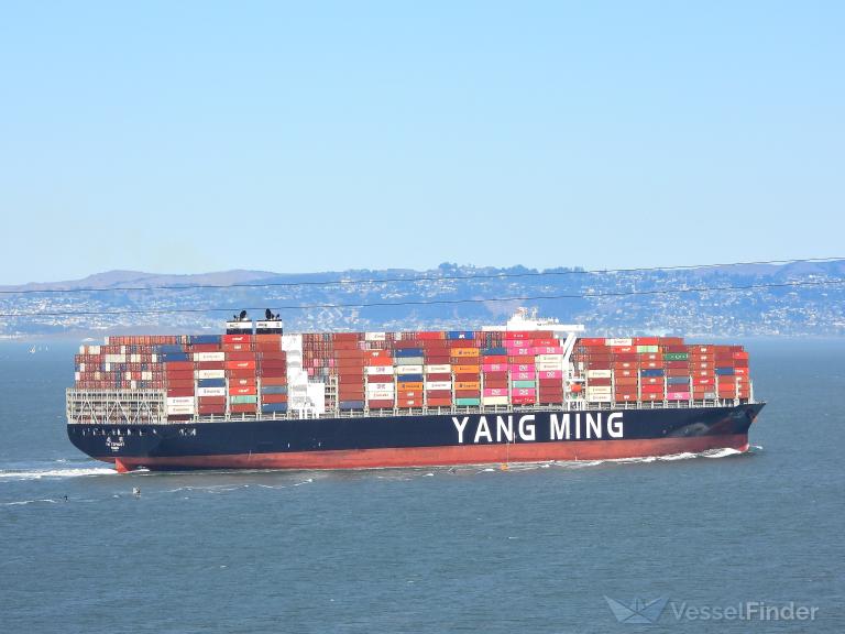 YM TOPMOST, Container Ship - Details and current position - IMO 9878515 ...